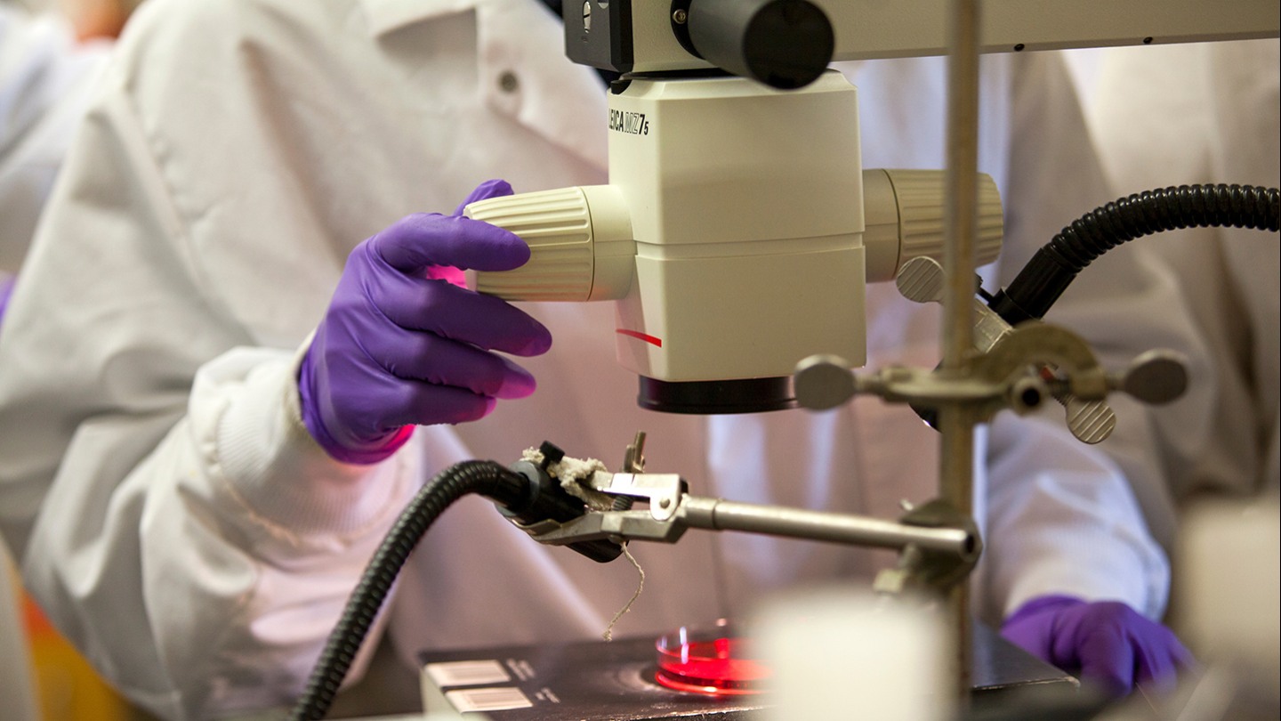 Departments | Biology | Brown University