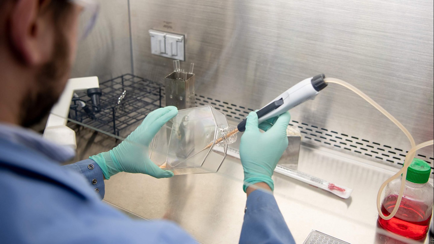 Undergraduate Education | Biology | Brown University