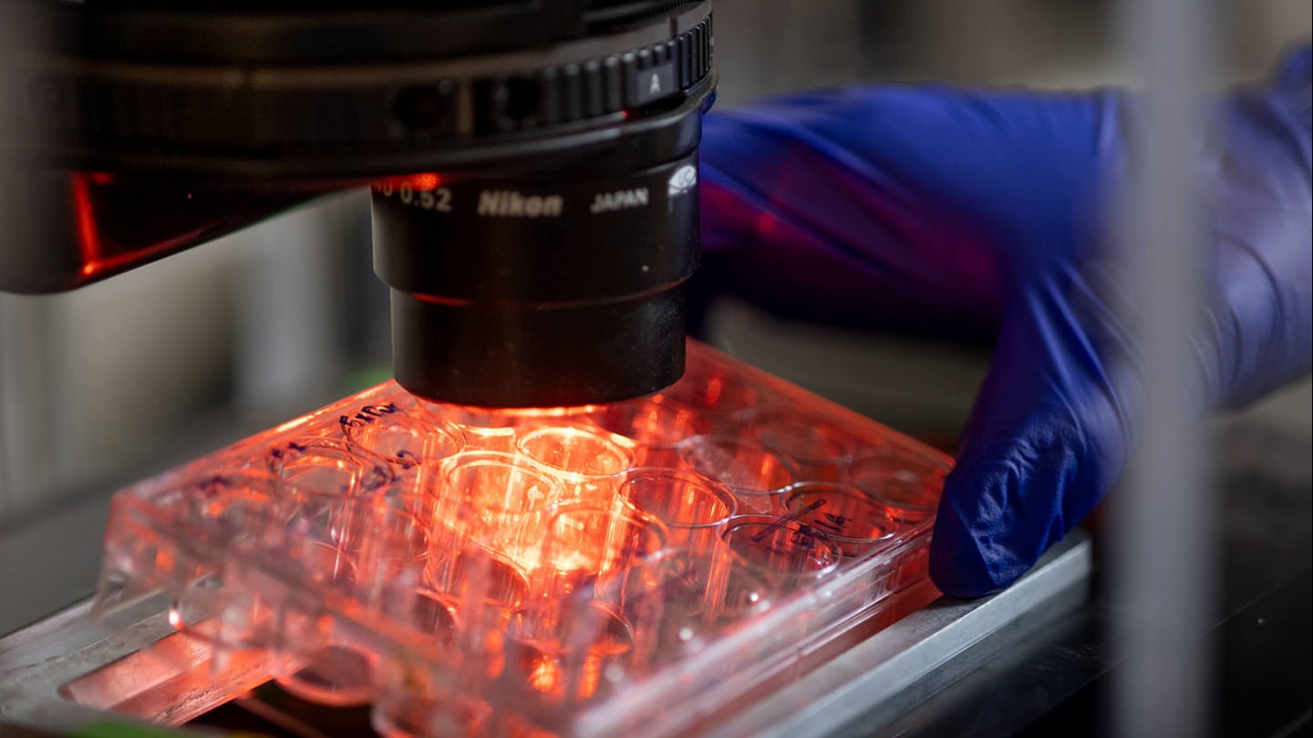 Doing Research at Brown | Biology | Brown University